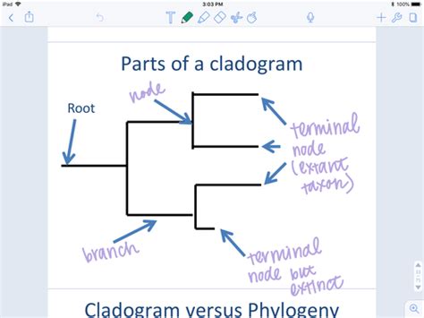 Module 3 Exam Flashcards Quizlet