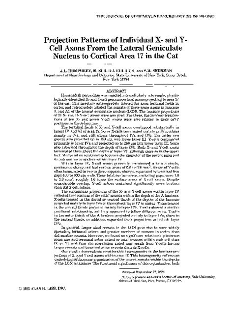 Pdf Projection Patterns Of Individual X And Y Cell Axons From The