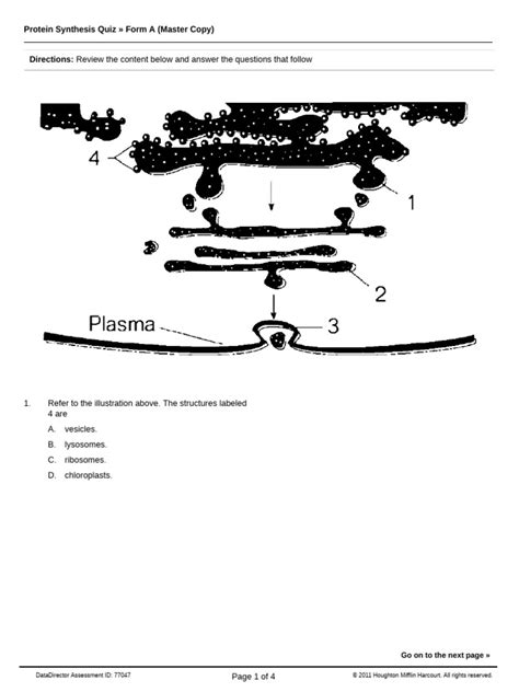 Protein Synthesis Quiz Pdf