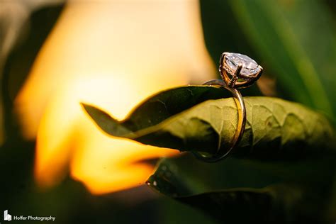 Julia And Chris Hoffer Photography