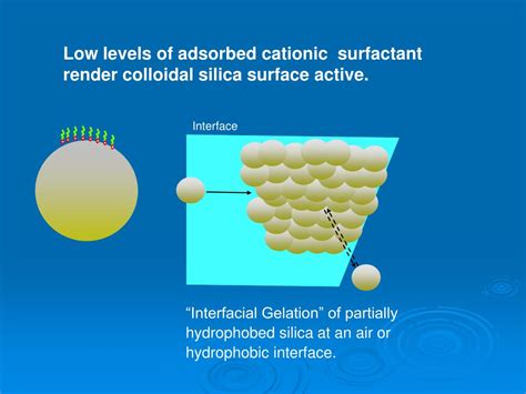 Ppt Surface Modification Using Nanoparticle To Inhibit Cellular