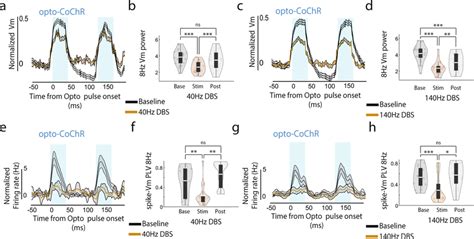 Dbs Reduces A Neurons Ability To Respond To Somatic Membrane