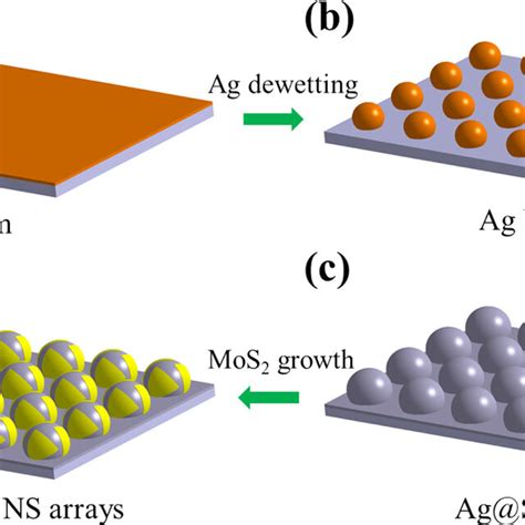 Schematic Illustration Of The Fabrication Of Ag Simos2 Ns Arrays