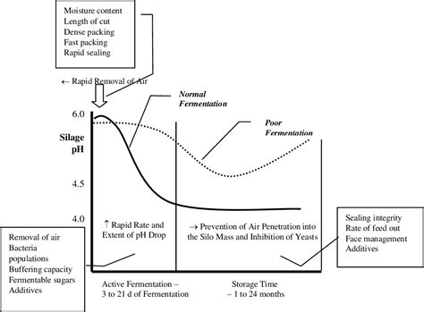 Figure 1 From Silage Fermentation And Additives Semantic Scholar