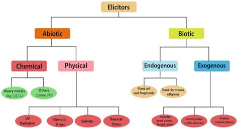 Optimizing Plant Growth In Hydroponics The Role Of Elicitation