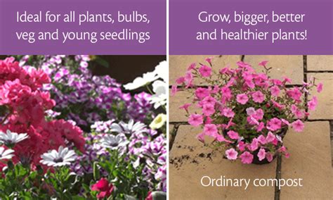 Easy Compost Richard Jackson Garden