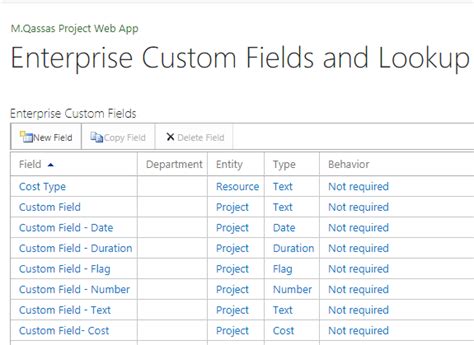 query enterprise custom fields from project server database