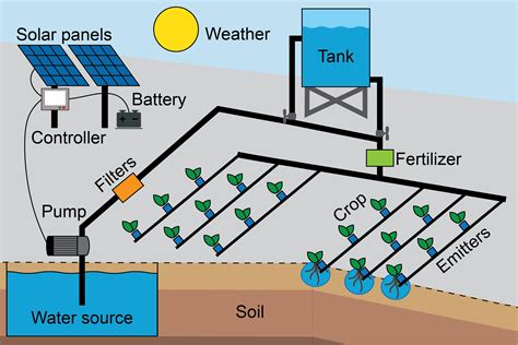 Solar Drip Irrigation System Vs Solar Micro Sprinkler Irrigation System Differences Growing