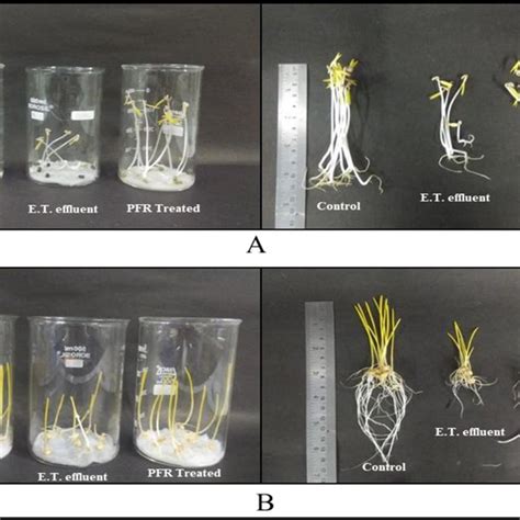 Uv Visible Spectrum Of Equalization Tank Effluent Before And After Pfr