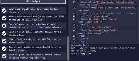 Creating Radio Buttons And Its Labels Html Css The Freecodecamp Forum