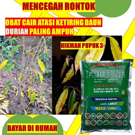 Jual Obat Layu Rontok Daun Tanaman Durian Daun Keriting Paling Laris Fortune 1 Kg Mengobati Layu