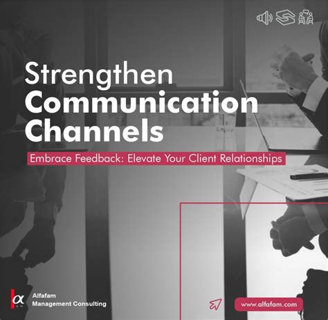 Feedbackloop Continuousimprovement Alfafam Management Consulting