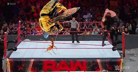 Double Suplex Album On Imgur