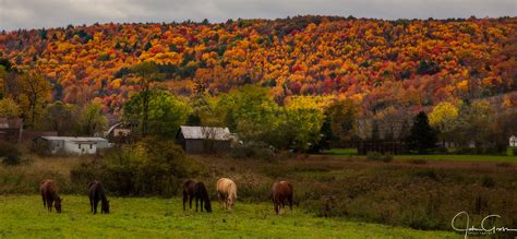 Potd 10 22 22 Potd On Godubois