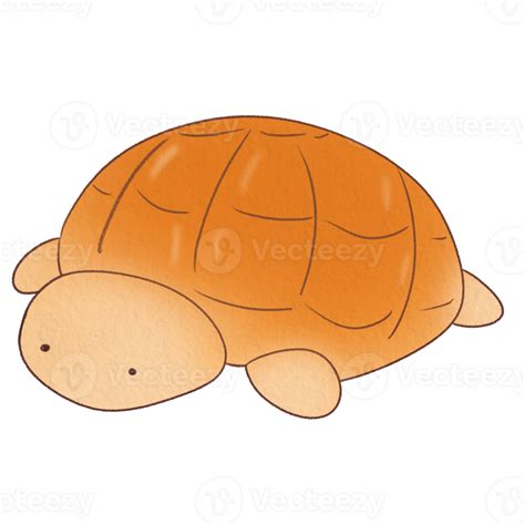 Turtle Bread Bakery 51663840 Png