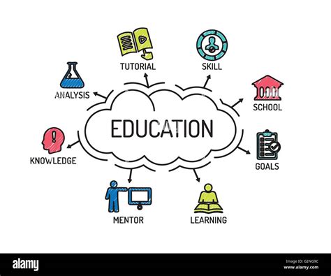 Education Chart With Keywords And Icons Sketch Stock Vector Image And Art Alamy