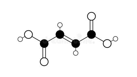 Fumaric Acid Molecule Structural Chemical Formula Ball And Stick
