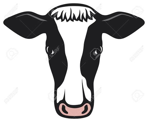 Dairy Cow Face