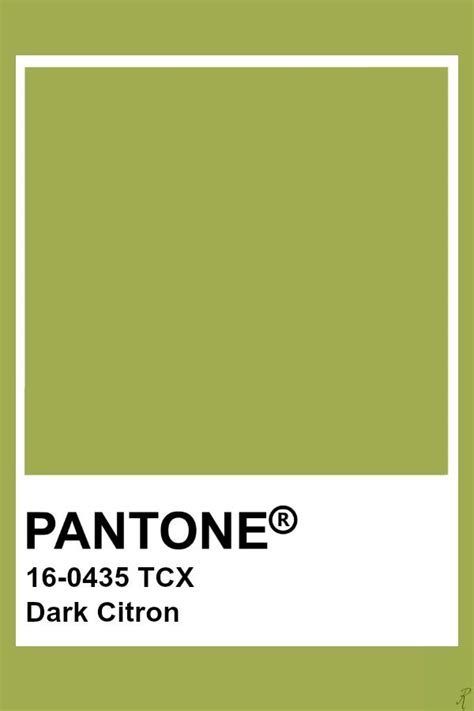 Pantone Dark Citron Kleurenpalet Kleurencombinaties Pantone