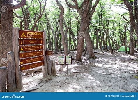 Sitio Para Acampar En El Parque Nacional Del Los Glaciares La