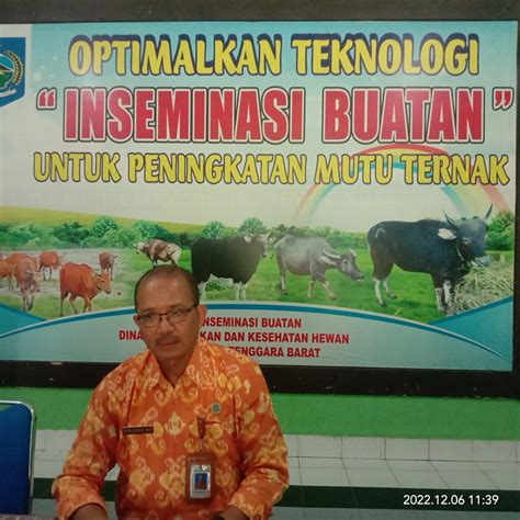 Realisasi Layanan Ib Sapi Di Ntb 2022 158 Ribu Reportase 7