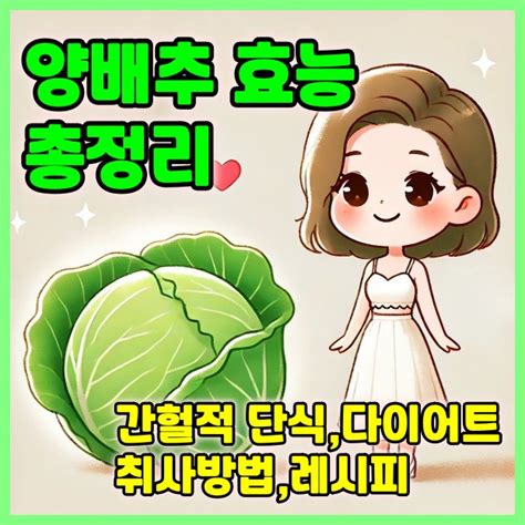 간헐적 단식 첫 음식으로 양배추를 먹어야 하는 3가지 이유와 활용법
