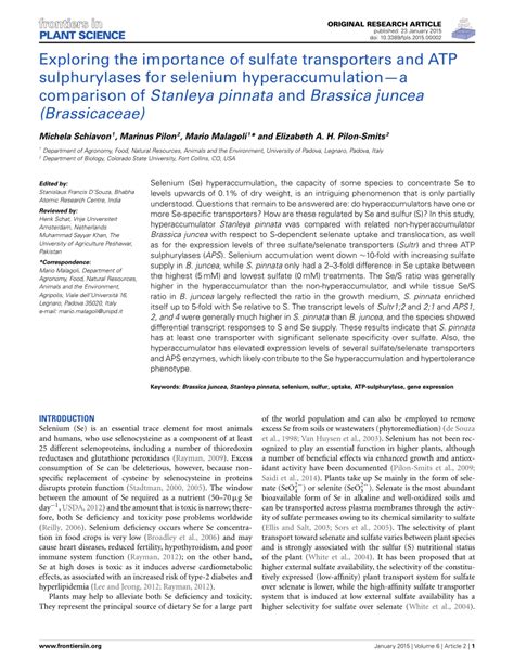 Pdf Exploring The Importance Of Sulfate Transporters And Atp