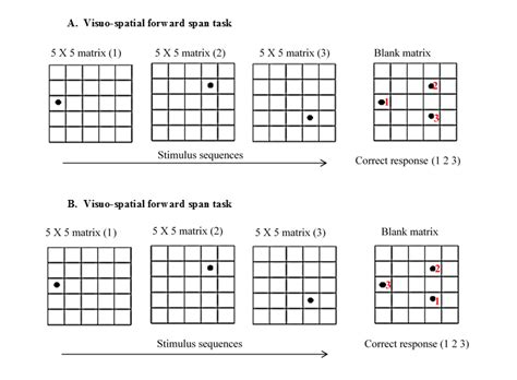 Differential Effect Of Aging On Verbal And Visuo Spatial Working Memory
