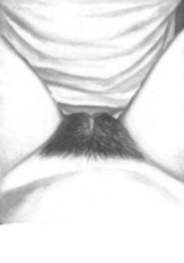 Rule 34 Animated Female Female Pov Female Pubic Hair  Greyscale