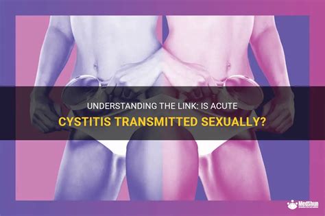 Understanding The Link Is Acute Cystitis Transmitted Sexually Medshun
