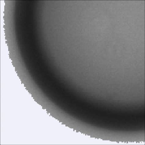 Particle Shape Factors And Their Use In Image Analysis Part 1 Theory Particle Technology Labs