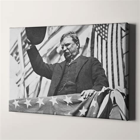 Teddy Roosevelt The Man In The Arena Canvas Wall Art Prints Big