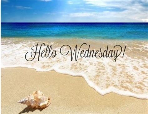 Happy Wednesday Coastal Lovers
