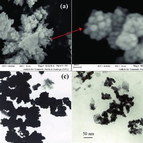 Sem And Tem Image Of Cds Nanoparticles Download Scientific Diagram