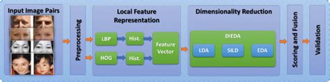 The Architecture Of The Proposed Face And Kinship Verification System Download Scientific Diagram