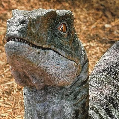 Charlie Jurassic Park Wiki Fandom