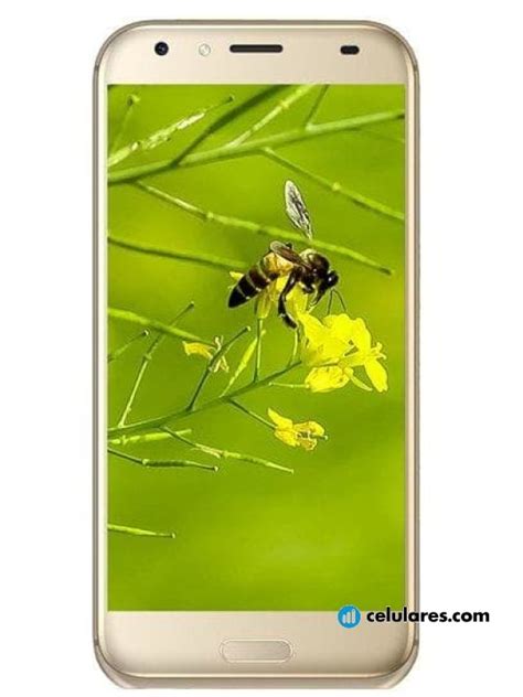 Doogee Bl5000 Bl 5000 México