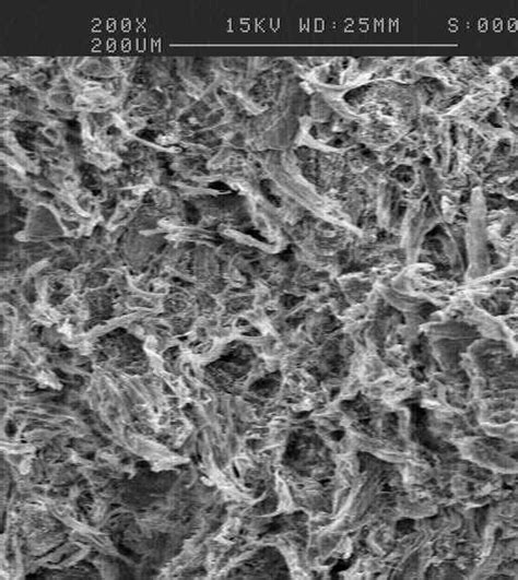 Scanning Electron Micrograph Of Tensile Fracture Surface Of Ppepdmps