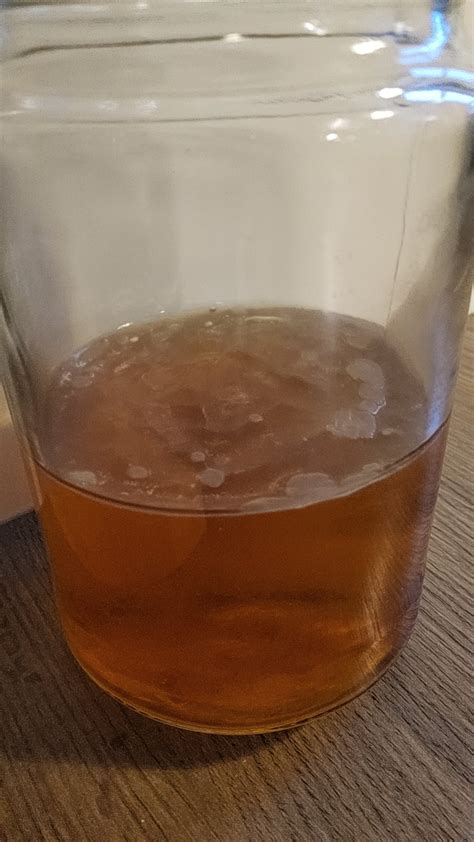 Classic Question Mold Or Not Rkombucha