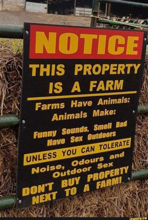 Video Memes Lfbfs4jza By Aggressivekeanu Ifunny