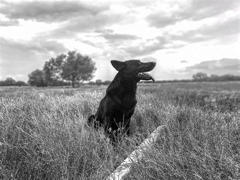 Tyler Brodsky • Instagram Photos And Videos