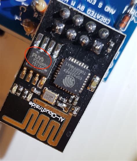 Puya Chips Dsmrloggerws