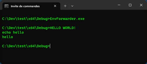 Windows C Cmd Displays The Current Dir Before The Output Of My Program Stack Overflow