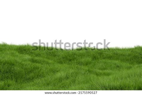 Green Grass Field Isolated Over 95313 Royalty Free Licensable Stock