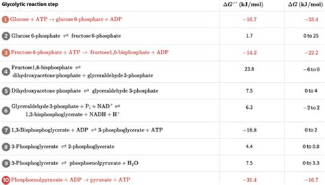 Bio 361 Exam 3 Flashcards Quizlet