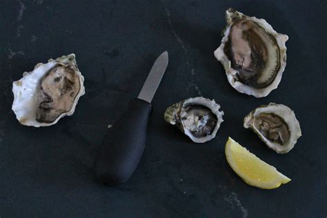 The 4 Best Oyster Knives Tested And Reviewed