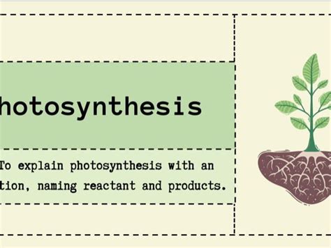 Gcse Biology Photosynthesis Topic Teaching Resources