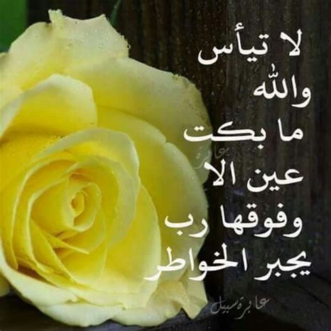 ادينا بنتعلم