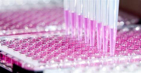 Stemcell Technologies On Linkedin Are Your Cell Cloning Experiments