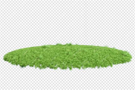 Premium Psd Various Types Of Grass Rendering Isolated Premium Psd Various Types Of Grass Rendering Isolated